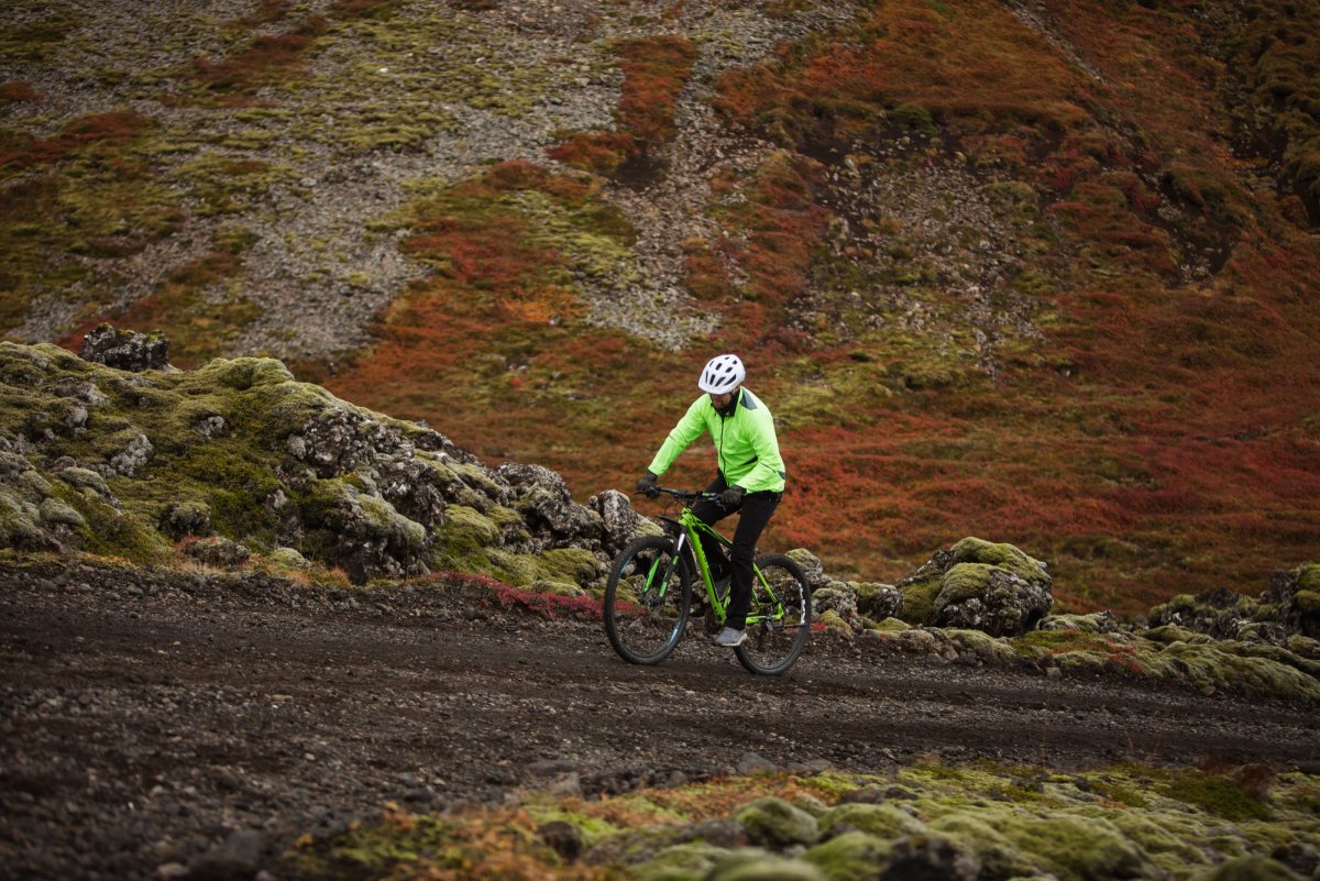 Bicycle Tours | West Iceland